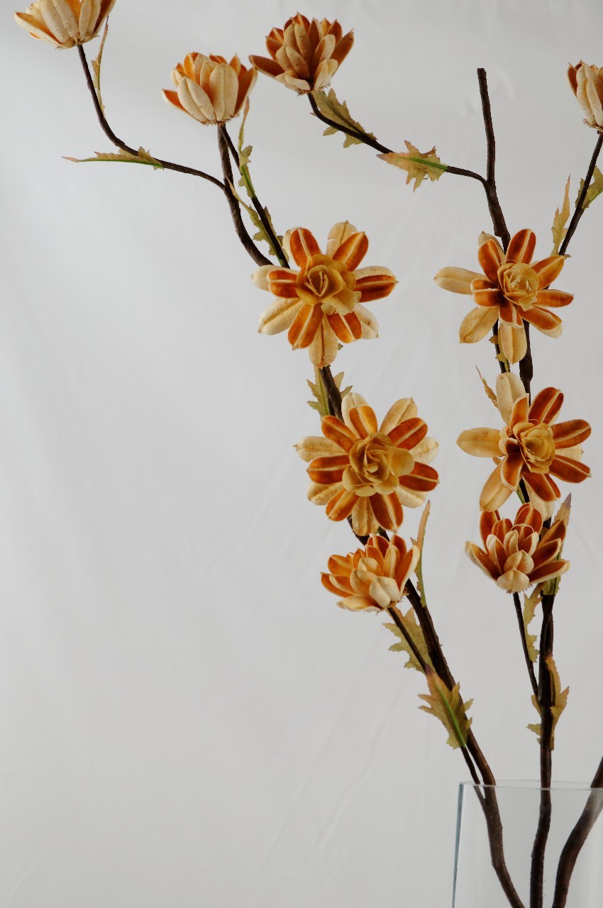 Floare exotica uscata - Culoare deschisa